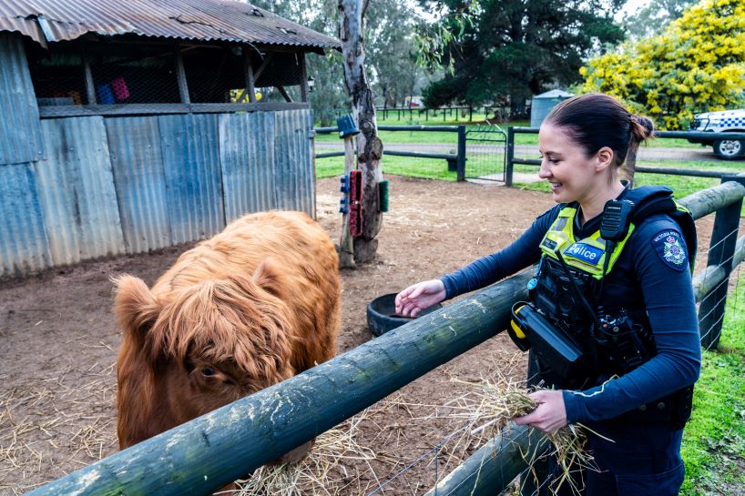 Specialist roles and areas for police officers | Career options | Major ...