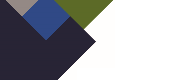 Victoria Police Corporate Plan 2024-2025: Our strategic direction