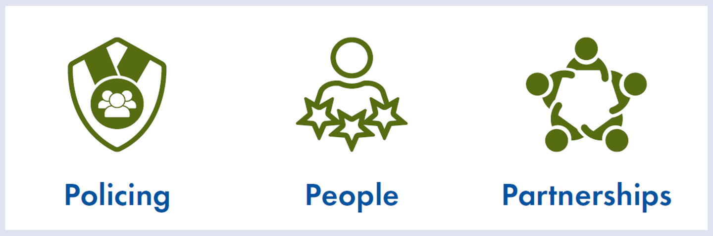 Safe from Harm: Victoria Police Strategy for Family Violence, Sexual ...